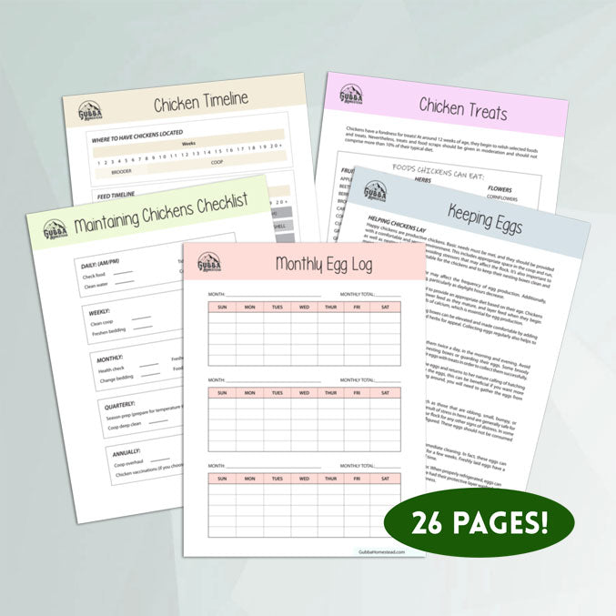 Raising Backyard Chickens Bundle – Gubba Homestead